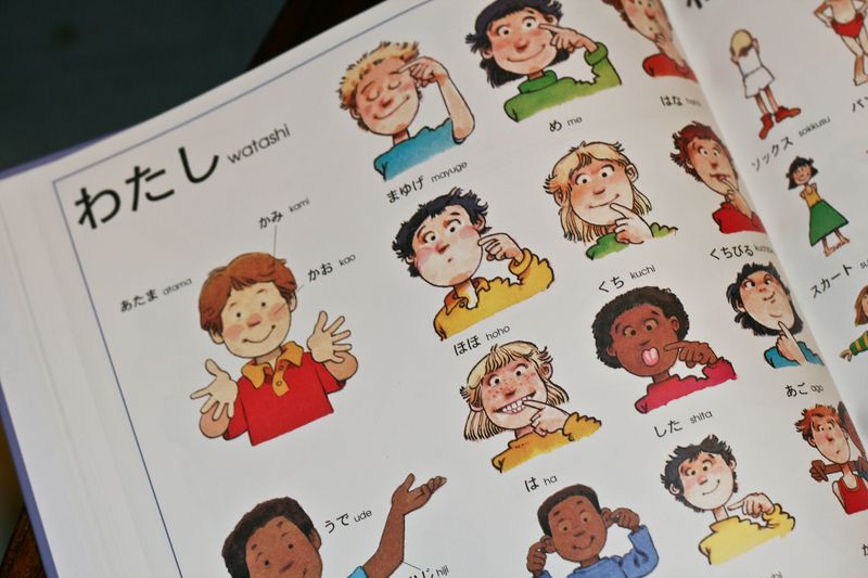 Japanese Children s Books Part 2 Okinawa Hai