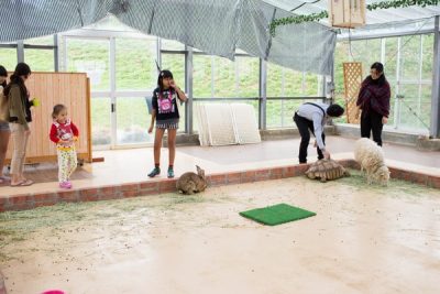 Uchina Farm – Okinawa Hai