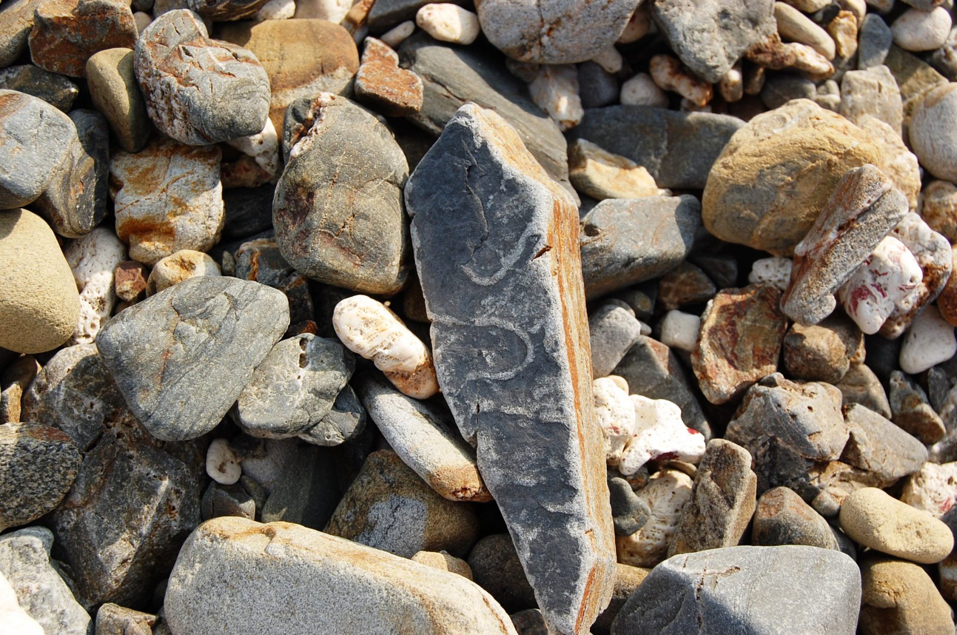 Fold of the Kayo Formation – Okinawa Hai