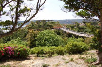 The Azalea Festival in Higashi Village – Okinawa Hai