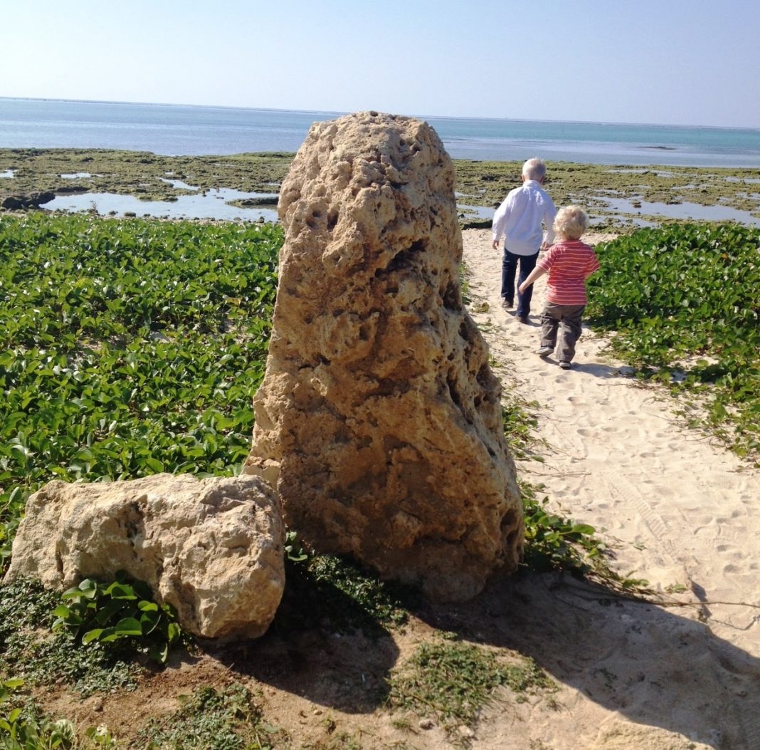 Senaga Island (Senagajima) – Okinawa Hai